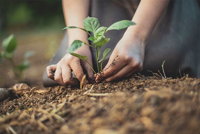 Sustainable lab-grown diamonds from Nevermined